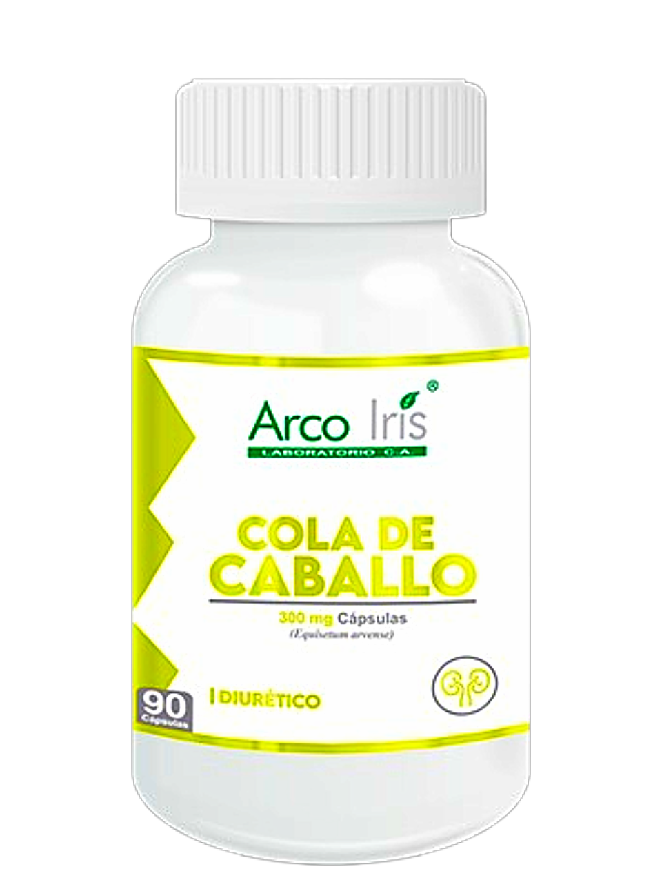 COLA DE CABALLO 300MG X 90CAP ARCO IRIS | FarmaBien